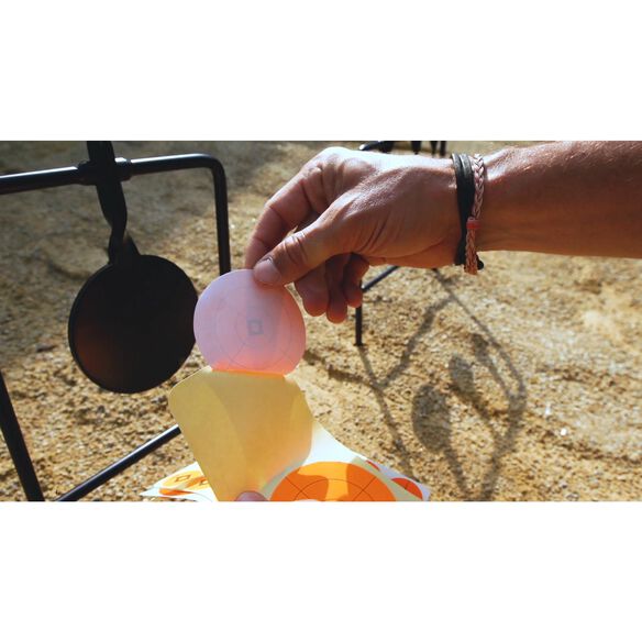 Triple Spin .22 Rimfire Swinging Target | Caldwell